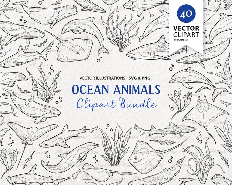 40 Ocean Animals Clipart Bundle. Sea Animals Vector Line Art ...
