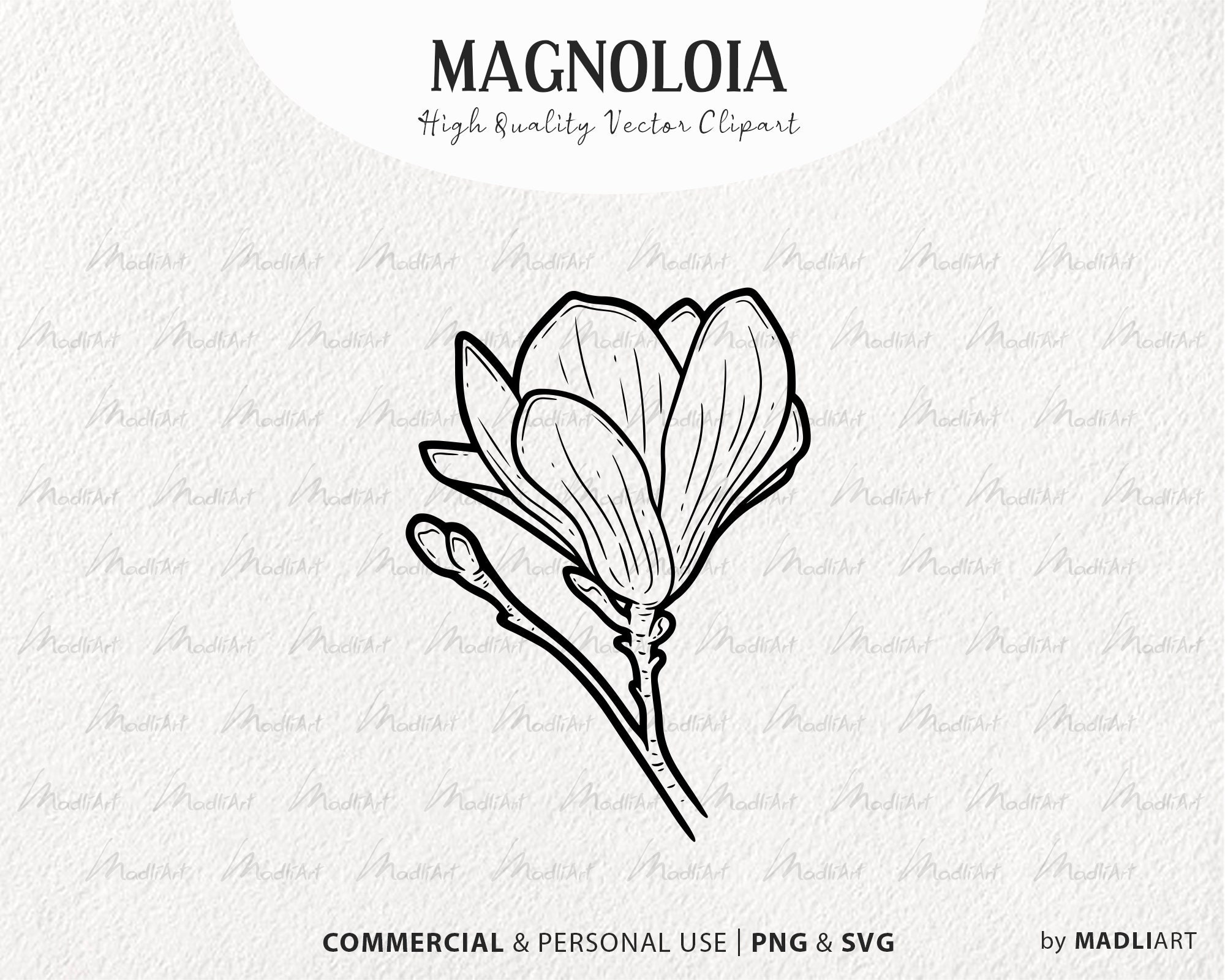 Magnolia Flower SVG Clipart. Magnolia Blossom Vector Illustration ...