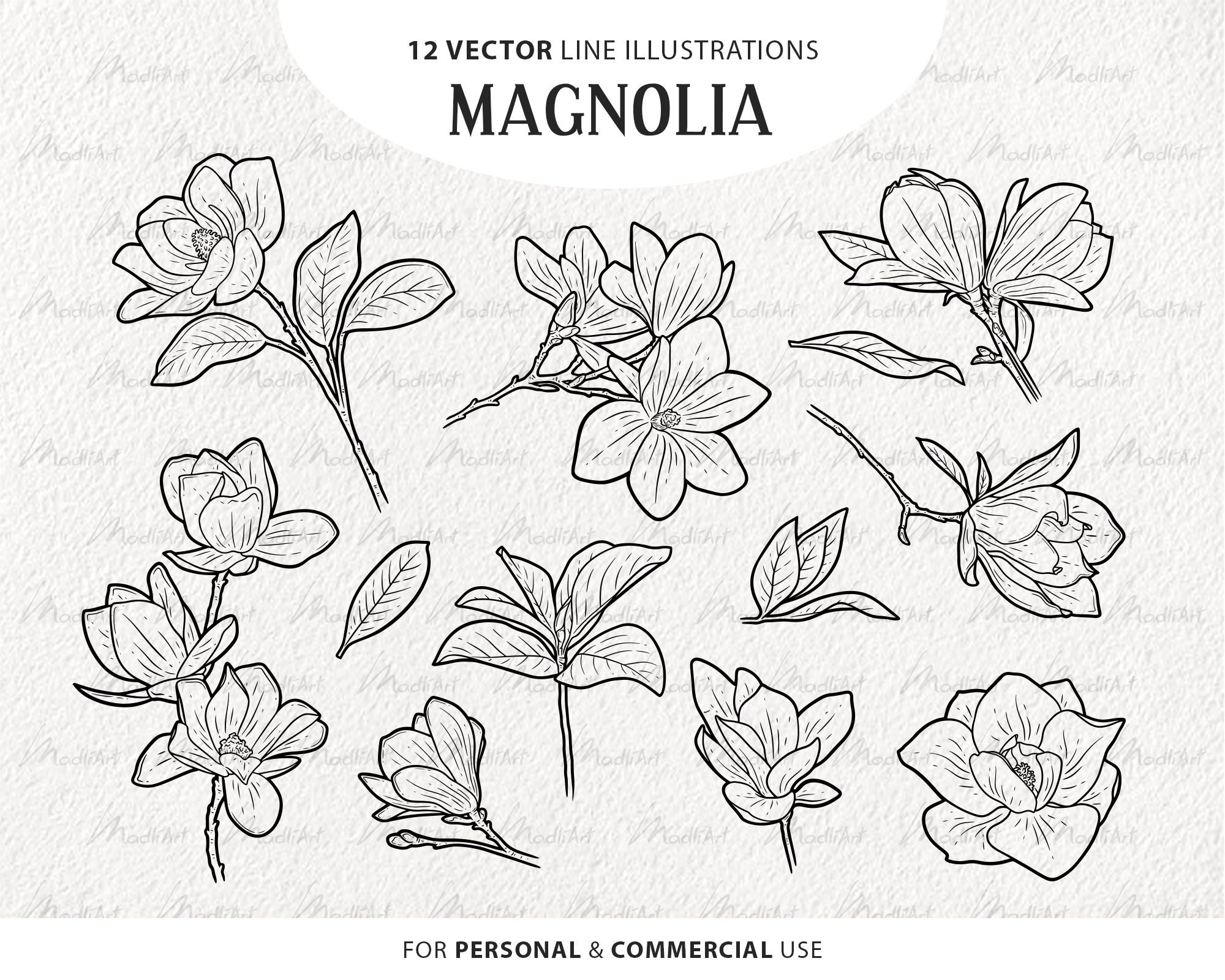 12 Magnolia Flower SVG Bundle. Magnolia Blossom Clipart Set. - Etsy