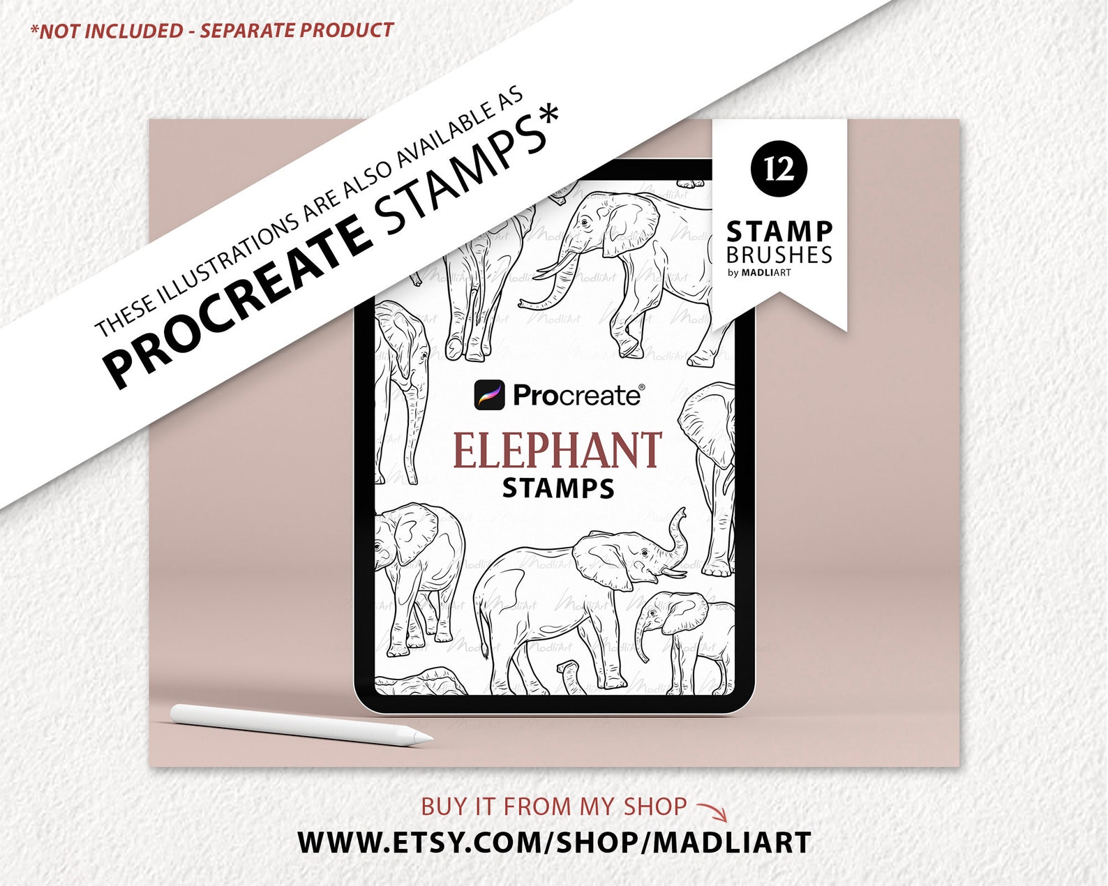 Baby Elephant SVG Clipart. Elephant Vector Drawing. Safari Animal SVG ...