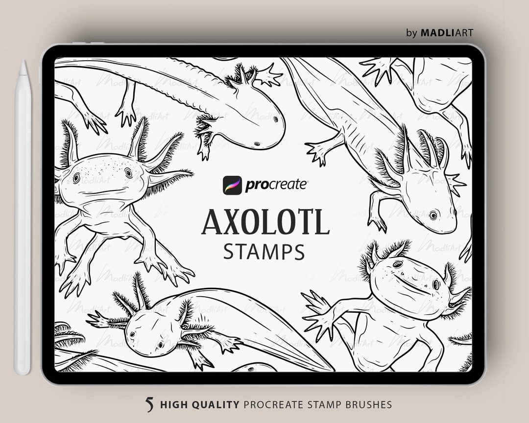 5 Procreate Axolotl Stamps. Axolotl Tattoo Design. Salamander - Etsy