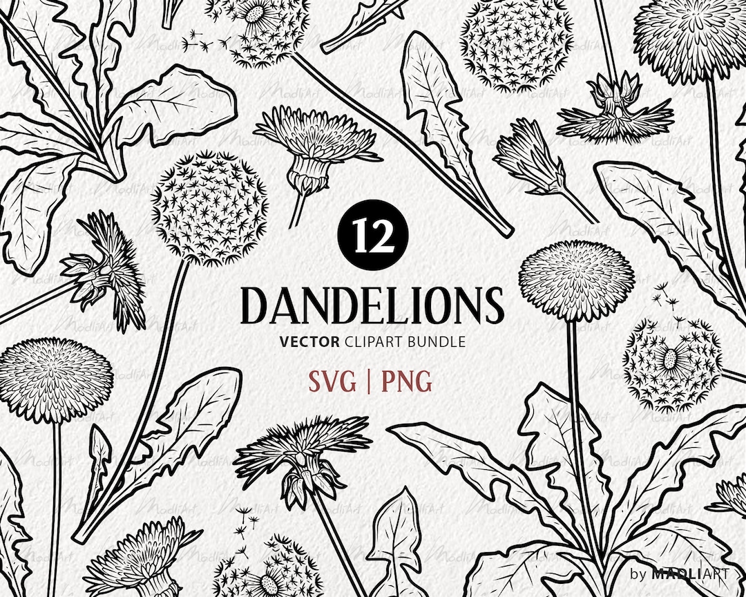 12 Dandelions SVG Clipart Set. Taraxacum Flower Line Art Blossoms ...