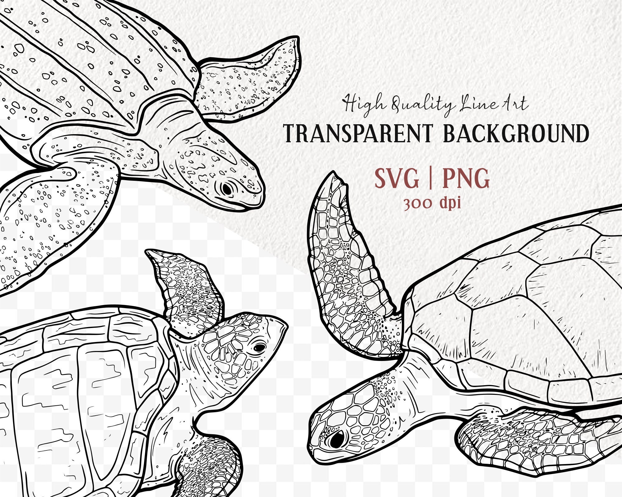 Sea Turtles SVG Clipart Bundle. Ocean Animal Vector Artwork Set. Green ...