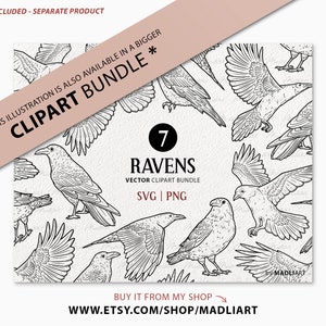Flying Raven SVG Clipart. Crow Vector Line Drawing. Flying Crow Clipart ...