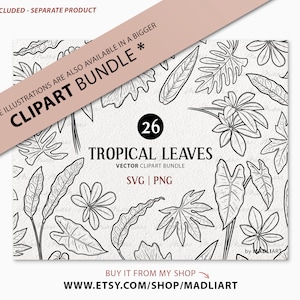 3 Areca Palm Leaves Clipart Set. Jungle Palm Tree Vector Art. Tropical ...