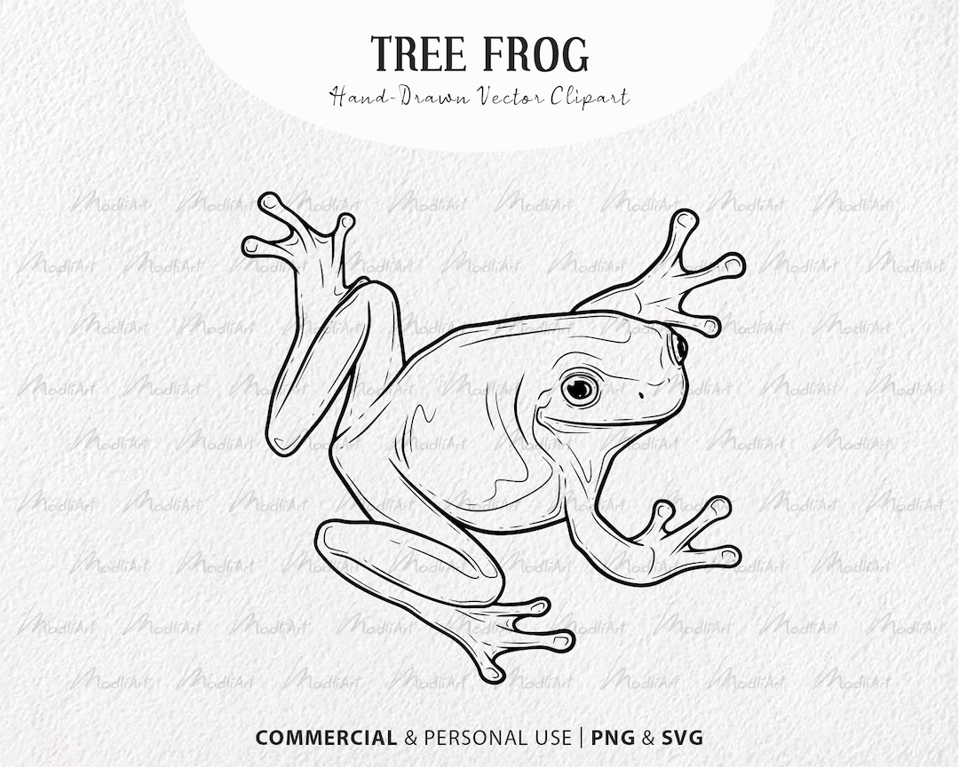 Tree Frog SVG Clipart. Frog Vector Drawing. Green, White and Red-eyed ...