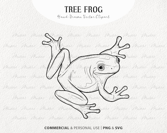 Red Eyed Tree Frog Clipart Black And White