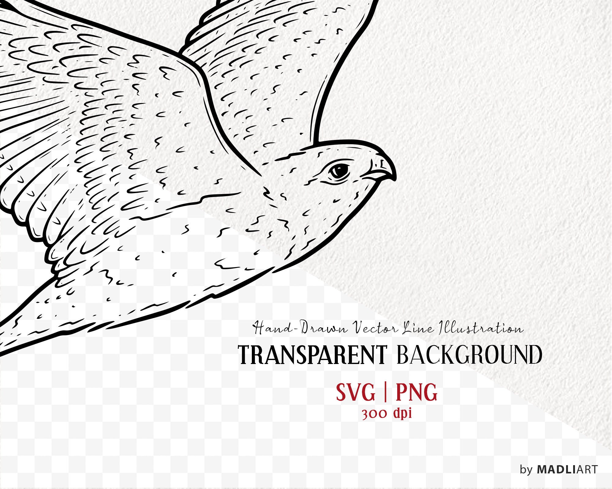 Coopers Hawk SVG Clipart Bundle. Eagle Vector Line Drawings. Bird of ...