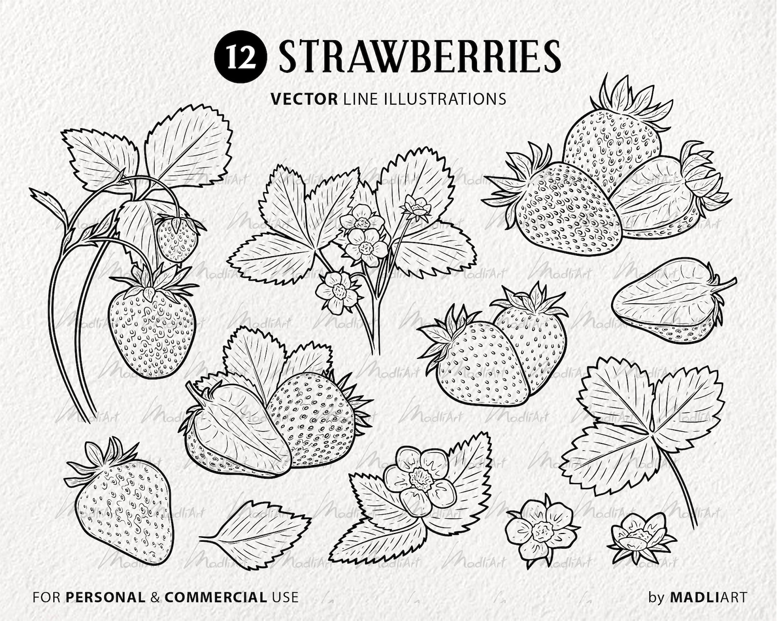 Strawberry SVG Clipart Bundle. 12 Vector Strawberries. Strawberry Plant ...