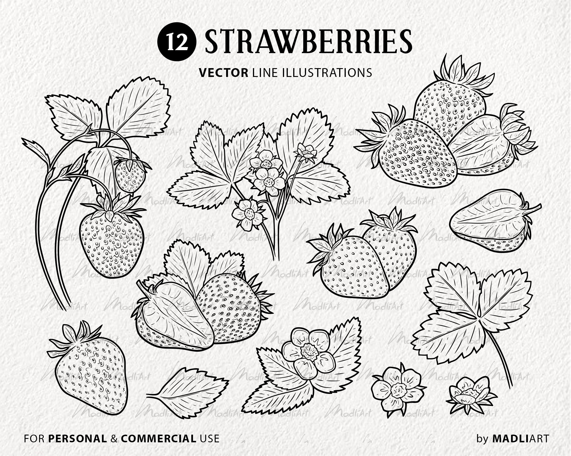 Strawberry SVG Clipart Bundle. 12 Vector Strawberries. Strawberry Plant ...