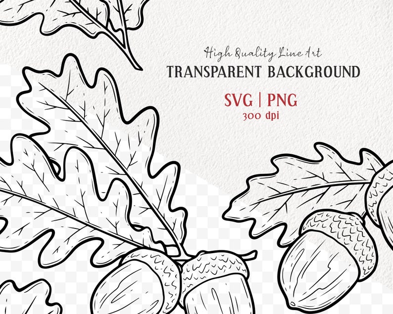 Oak Leaves Clipart Bundle. 10 Vector Botanical Elements. Fall Line ...