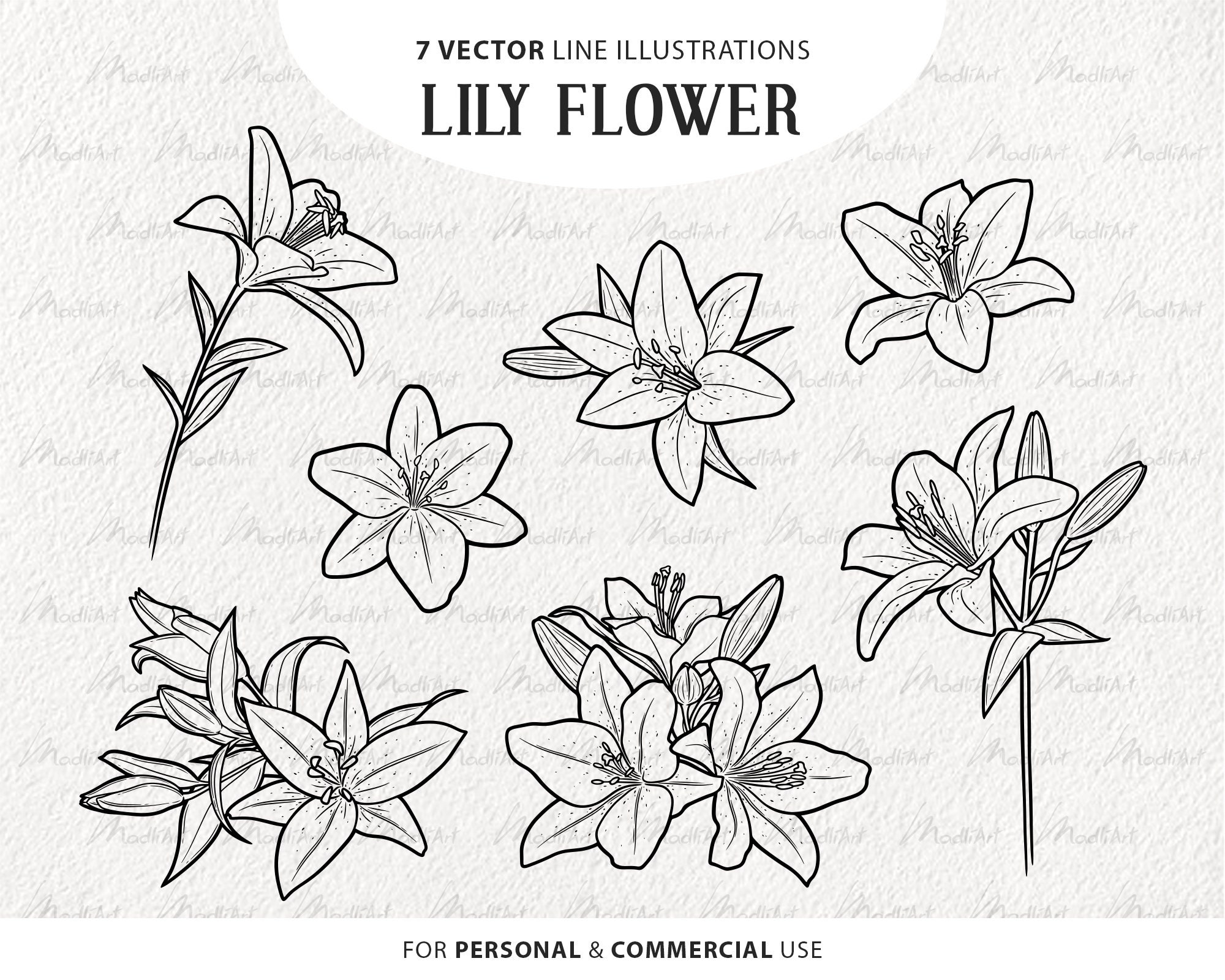 7 Lily Flower SVG Clipart Bundle. Tiger Lily Blossoms. Flower - Etsy