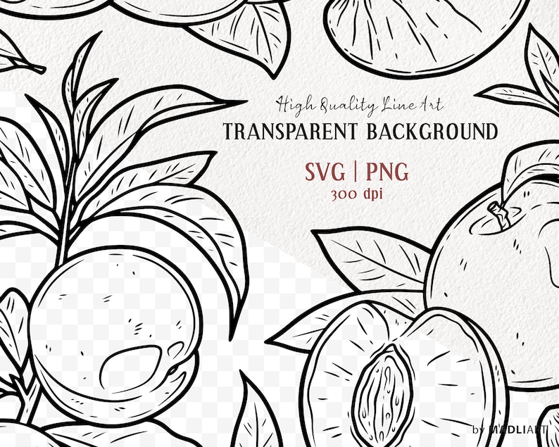 Peach SVG Clipart Bundle. 13 Vector Peaches. Peach Tree Branches, Fruit ...