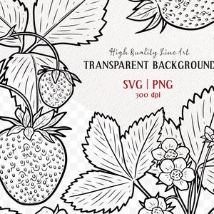 Strawberry SVG Clipart Bundle. 12 Vector Strawberries. Strawberry Plant ...