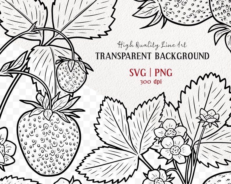 Strawberry SVG Clipart Bundle. 12 Vector Strawberries. - Etsy