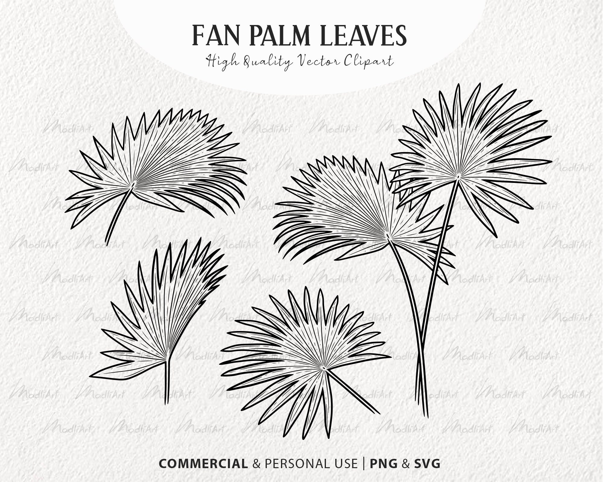 4 Fan Palm Leaves Clipart Set. Jungle Palm Tree Vector Art. Tropical ...