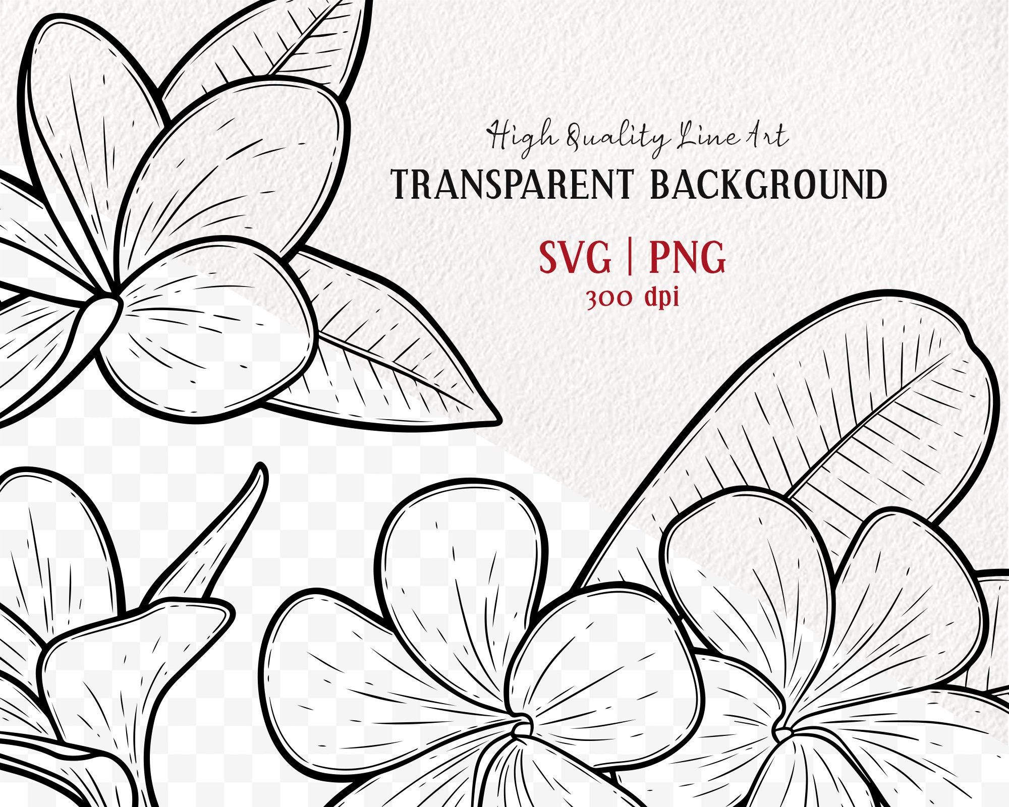 Plumeria SVG Clipart Bundle. 10 Tropical Hawaii Flowers. Botanical ...