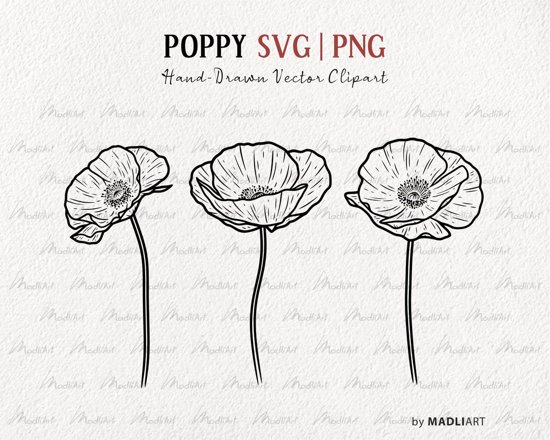 3 Poppy SVG Clipart Bundle. Poppy Vector Drawing. Wildflower Poppies ...