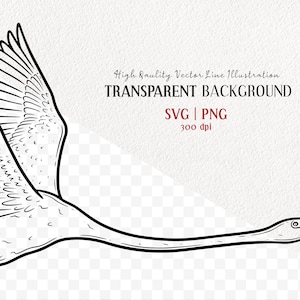 Flying Flamingo Vector Clipart. Hawaii Bird SVG Outline. Tropical ...