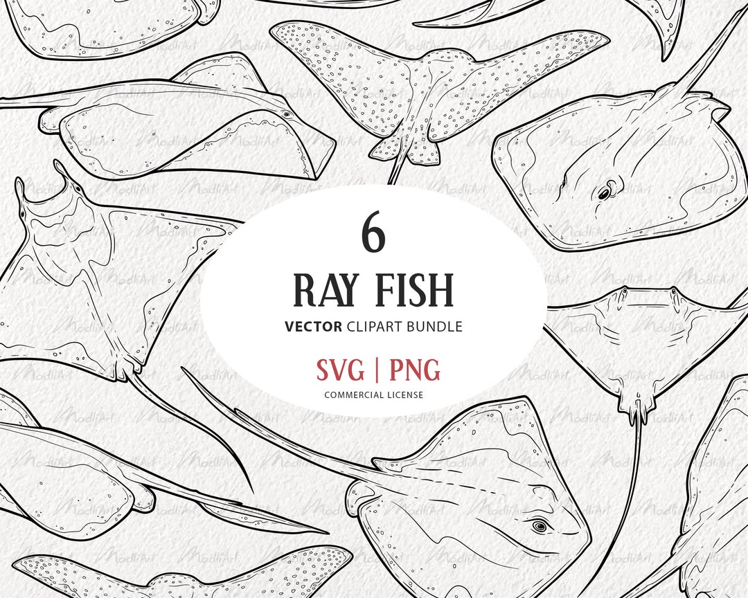 Ray Fish Clipart Bundle. Sea Creature Vector Line Art. Ocean - Etsy