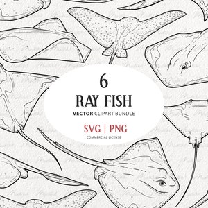 Ray Fish Clipart Bundle. Sea Creature Vector Line Art. Ocean - Etsy