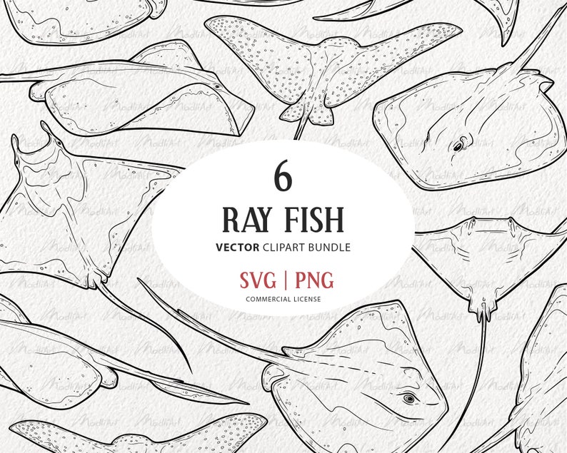 Ray Fish Clipart Bundle. Sea Creature Vector Line Art. Ocean - Etsy