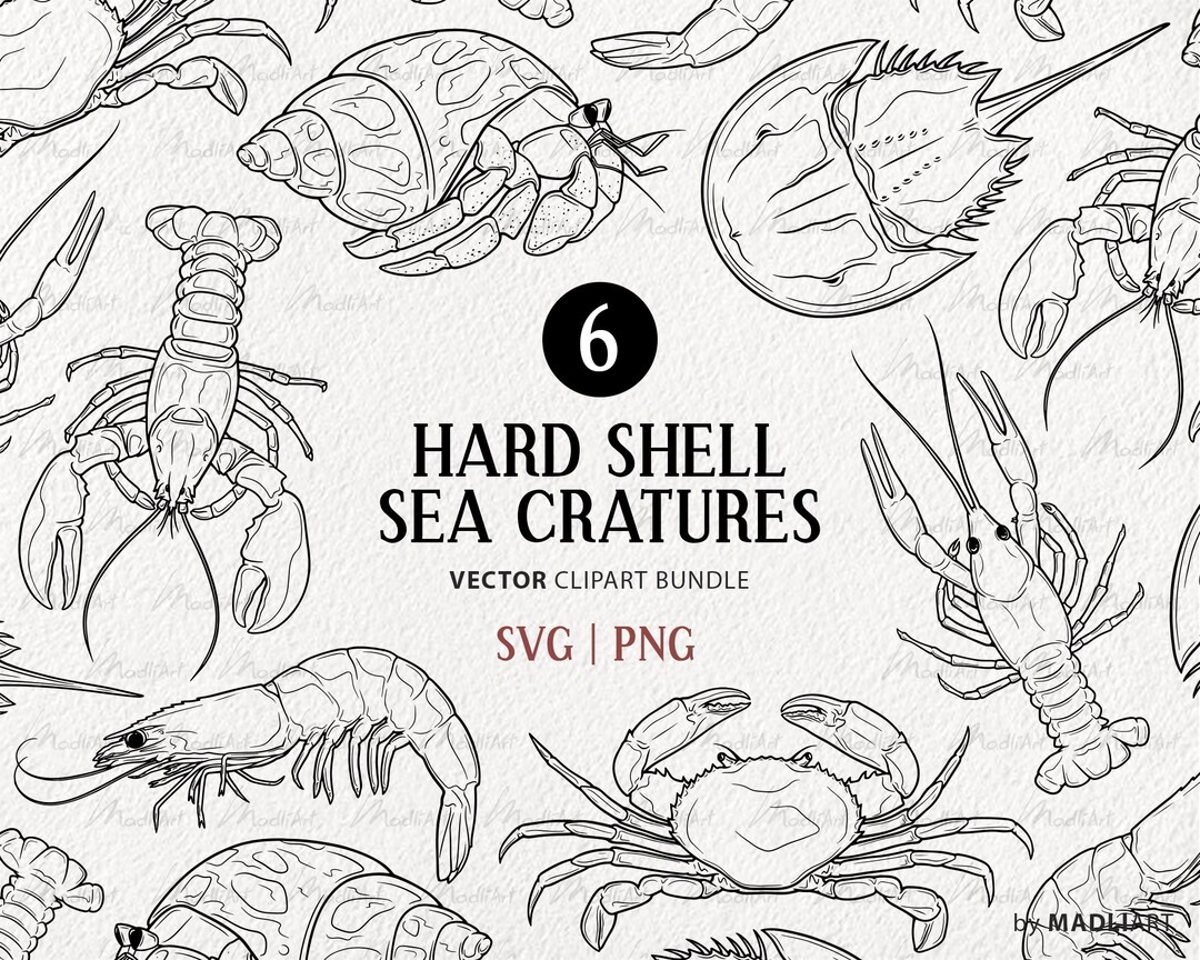 Hard Shell Sea Creatures Clipart Bundle. Marine Animals Vector Line Art ...