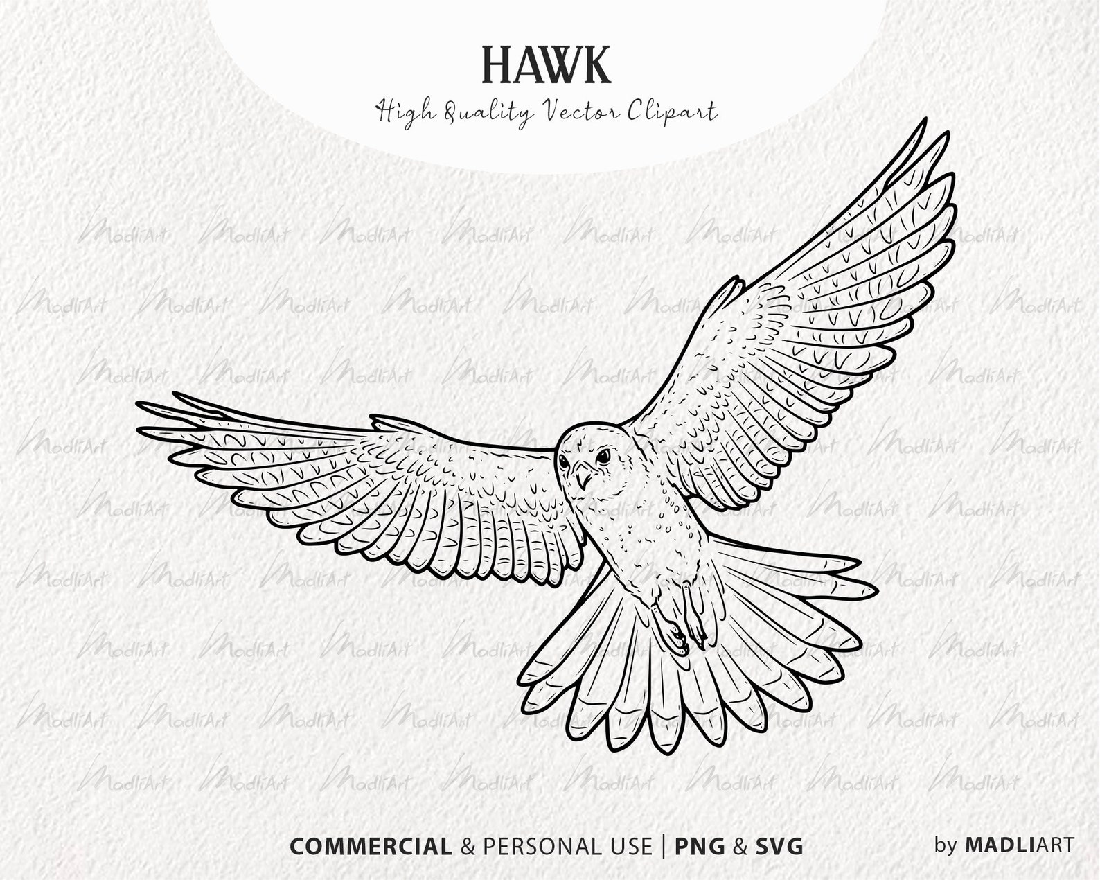 Hawk SVG Clipart Bundle. Eagle Vector Line Drawings. Bird of - Etsy