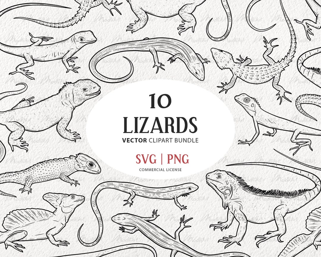 10 Lizard SVG Clipart Bundle. Reptile Vector Drawings. - Etsy
