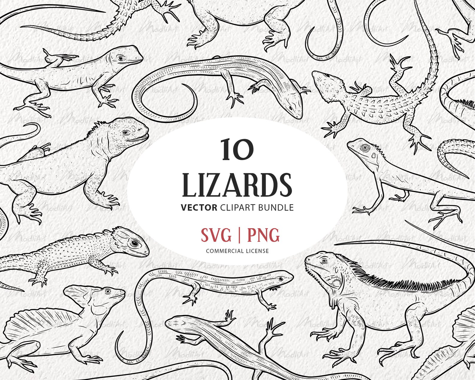 10 Lizard SVG Clipart Bundle. Reptile Vector Drawings. - Etsy
