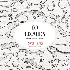 10 Lizard SVG Clipart Bundle. Reptile Vector Drawings. - Etsy