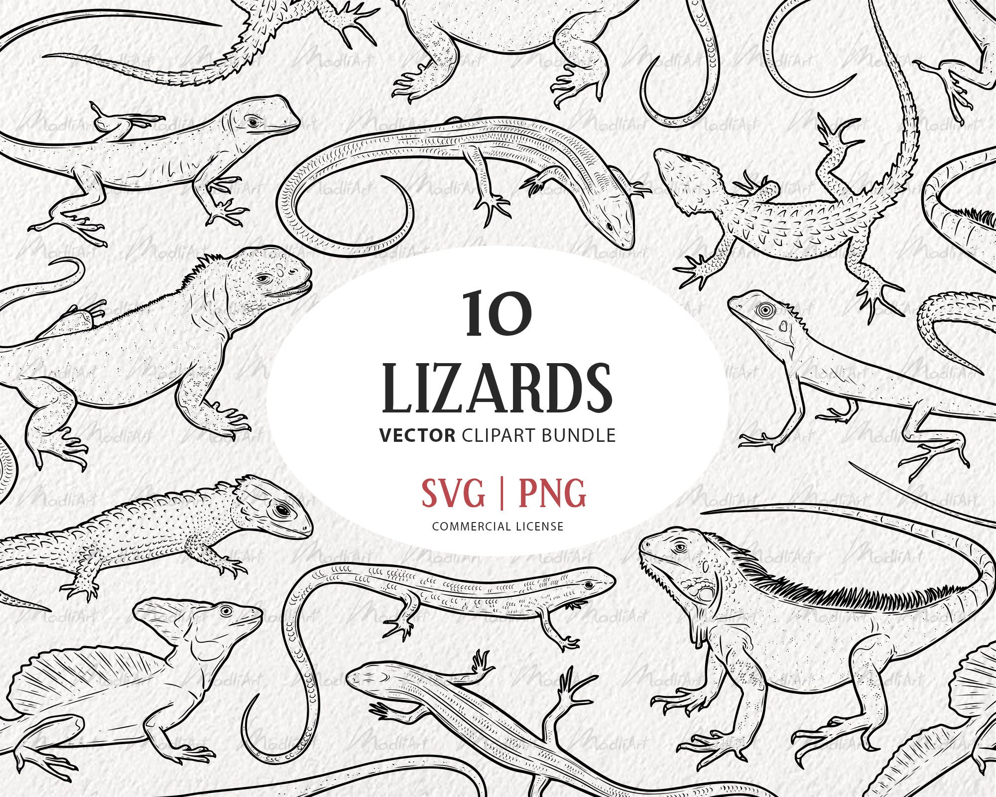 10 Lizard SVG Clipart Bundle. Reptile Vector Drawings. - Etsy
