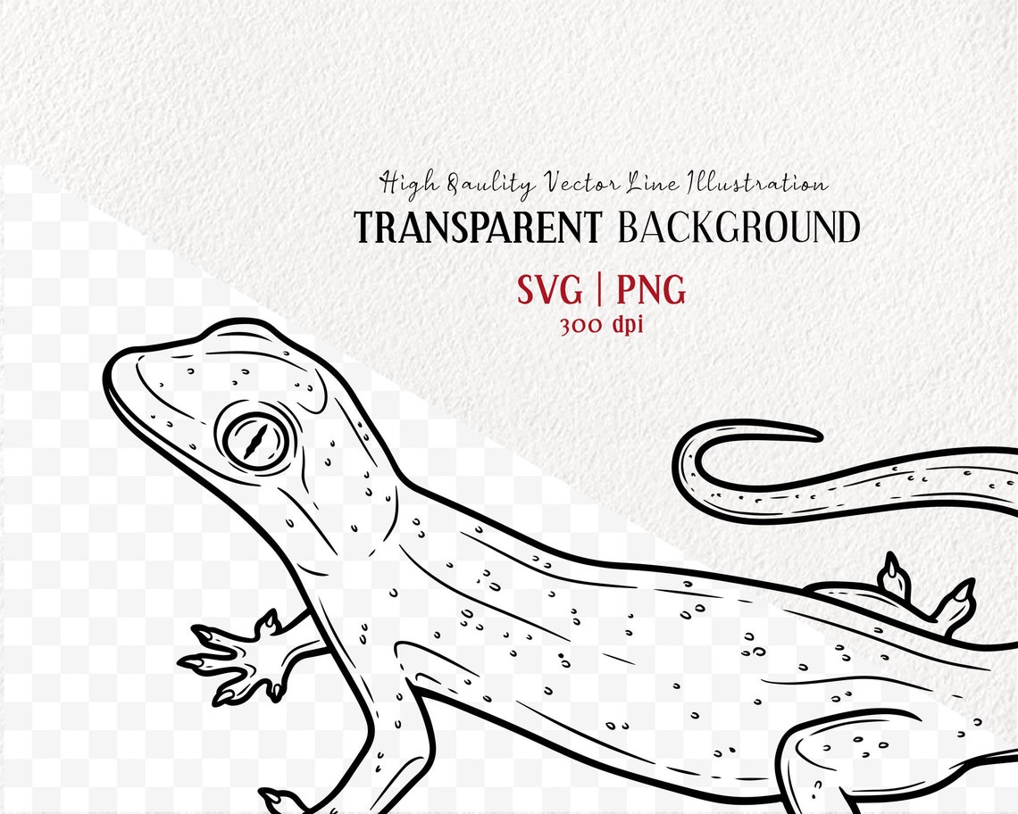 Gecko SVG Clipart. Lizard Vector Drawing. Leopard Gecko, Crested Gecko ...