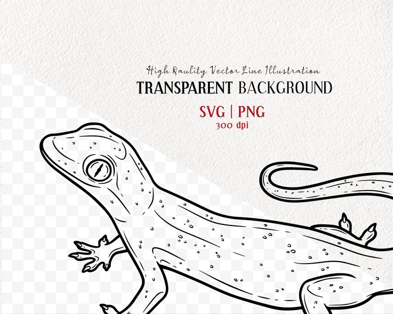 Gecko SVG Clipart. Lizard Vector Drawing. Leopard Gecko, Crested Gecko ...