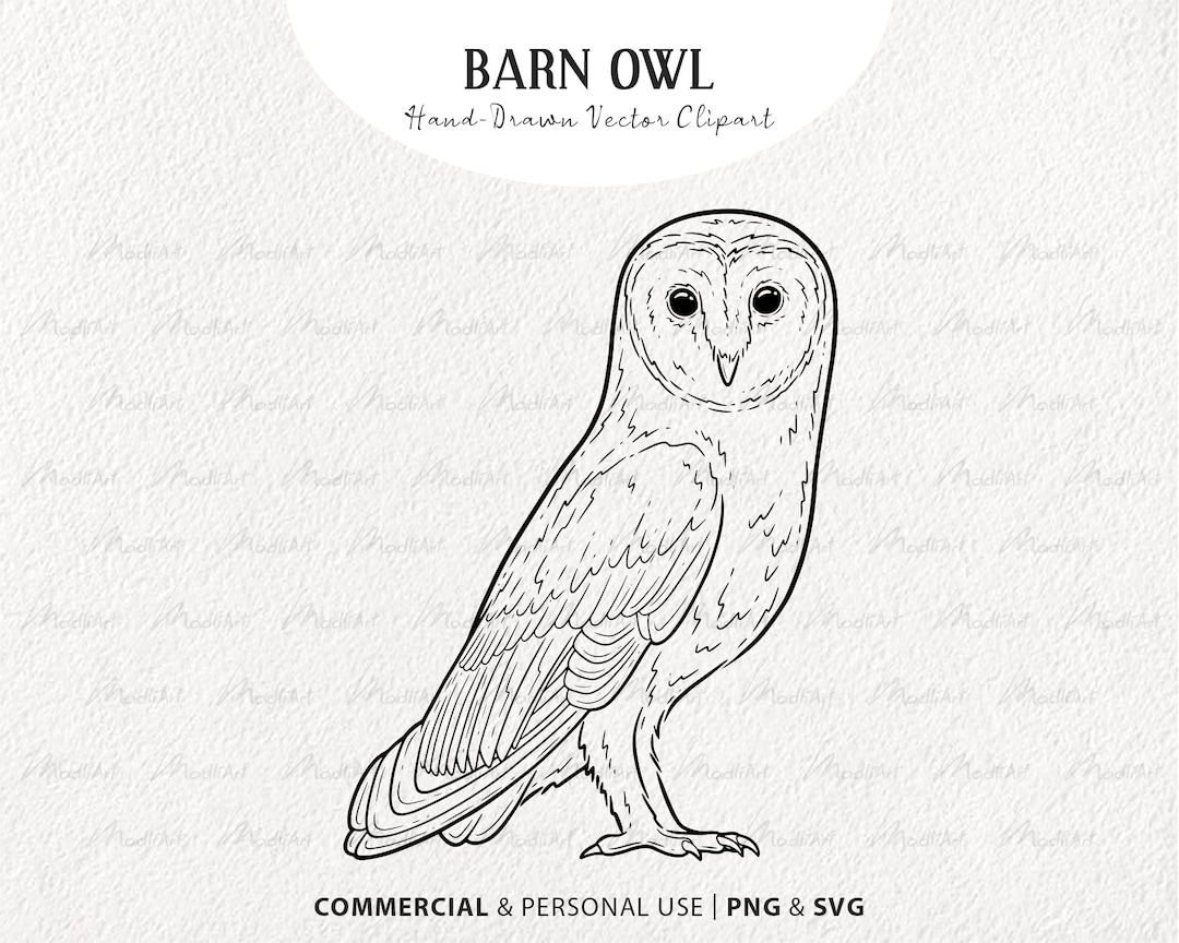 Barn Owl SVG Clipart. Snowy Owl Vector Artwork. Sitting Bird Line ...