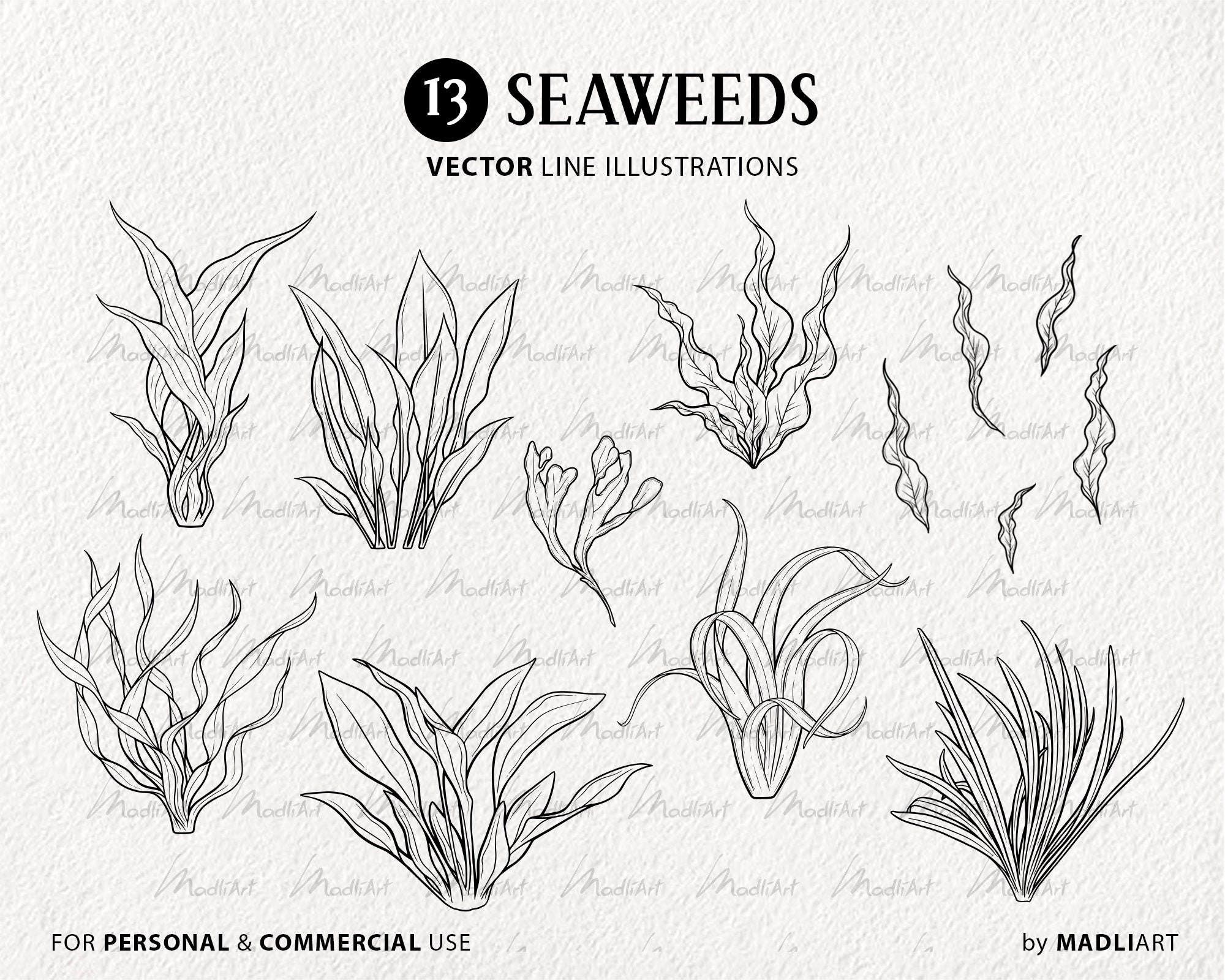 13 Seaweeds Clipart Bundle. Ocean Plants Vector Artwork. Underwater ...