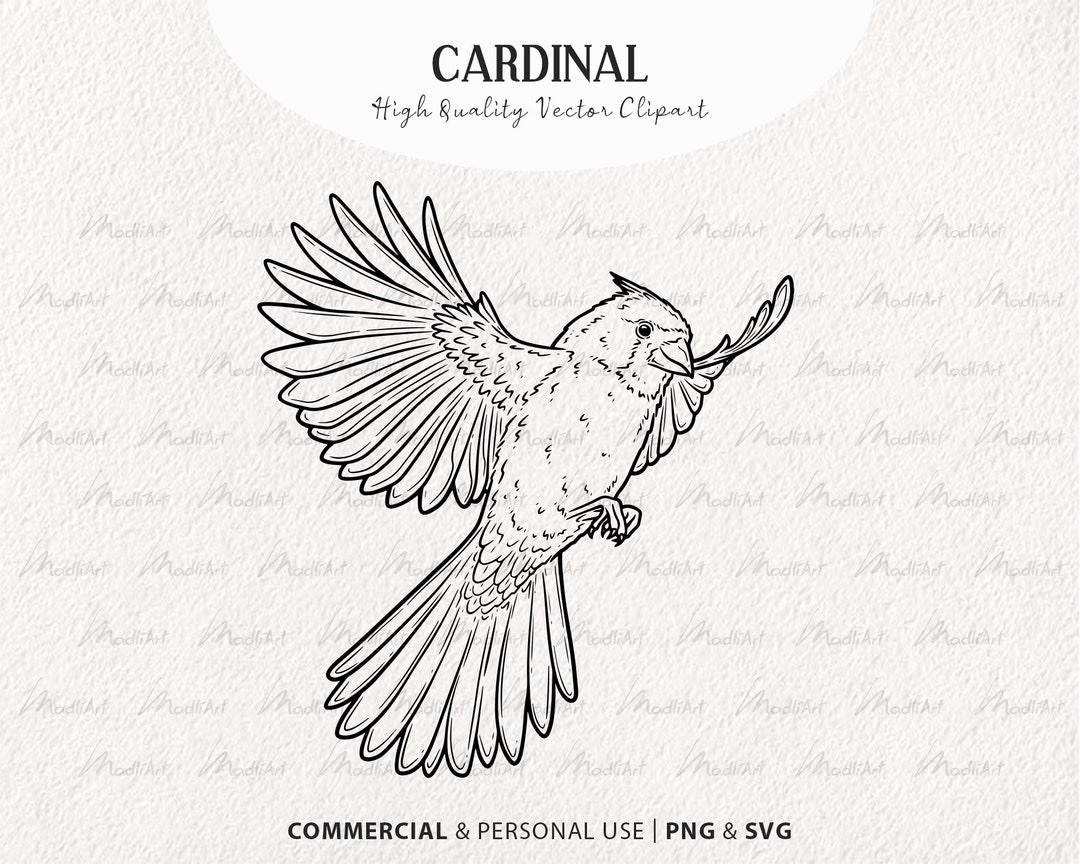 Cardinal Vector Clipart Bundle. Little Red Birds. Flying Birds Outline ...