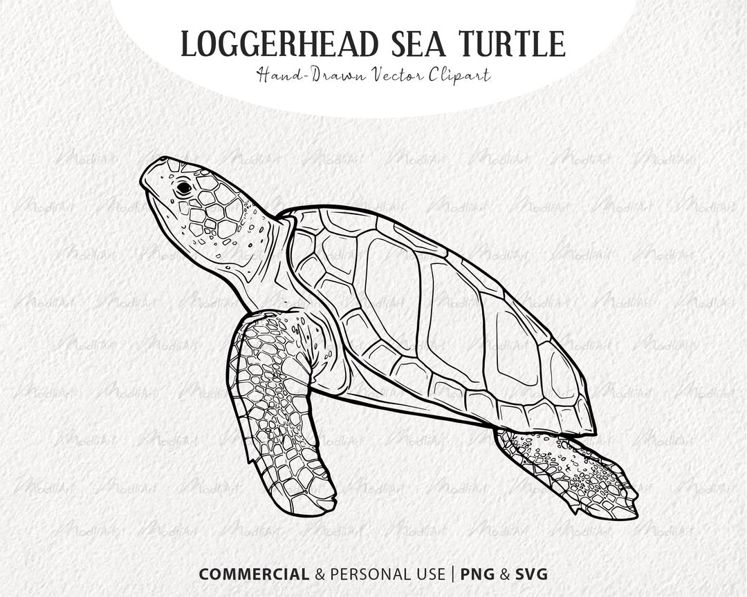 Loggerhead Sea Turtle SVG Clip Art. Sea Turtle Vector Line Art. Sea ...
