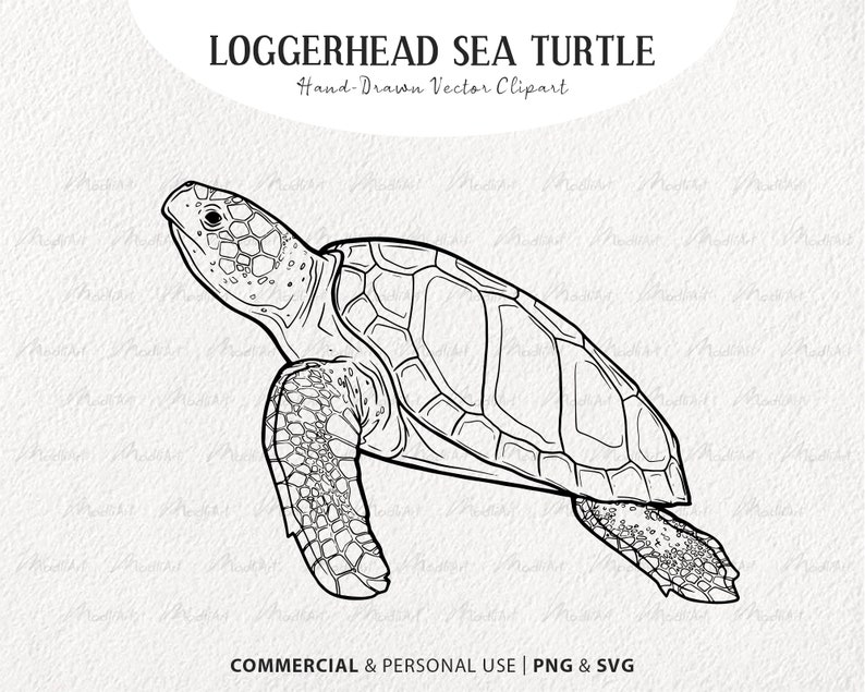 Loggerhead Sea Turtle SVG Clip Art. Sea Turtle Vector Line Art. Sea ...
