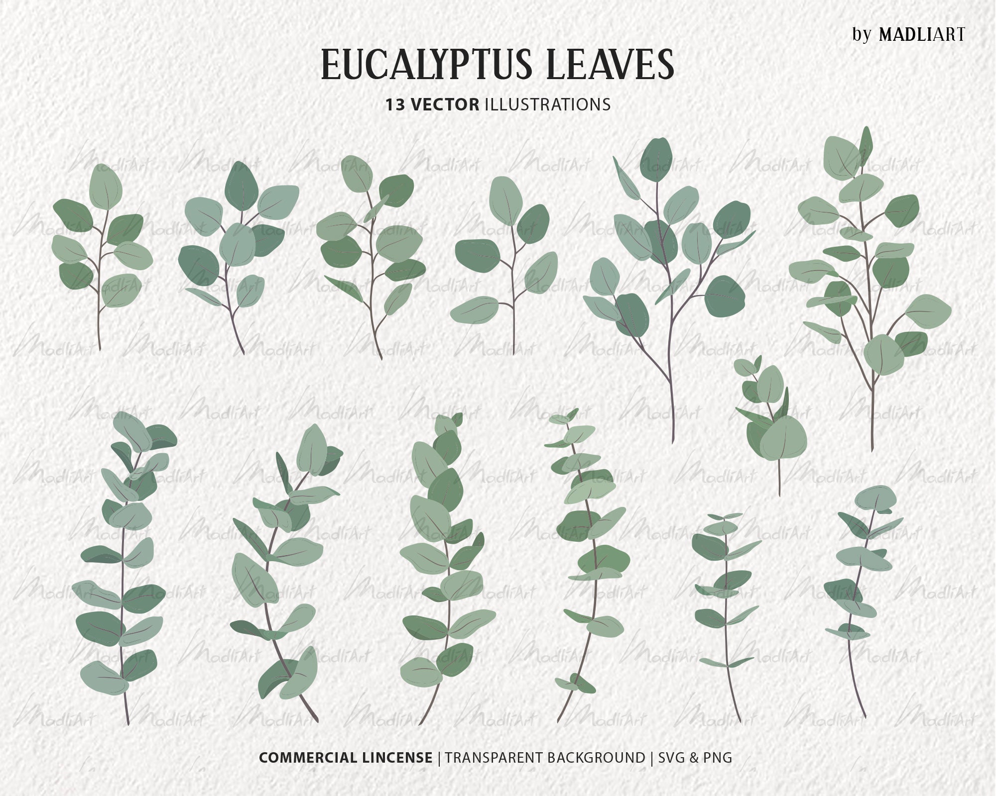 Eucalyptus Leaf Clipart Bundle 13 Vector Leaves Botanical Etsy