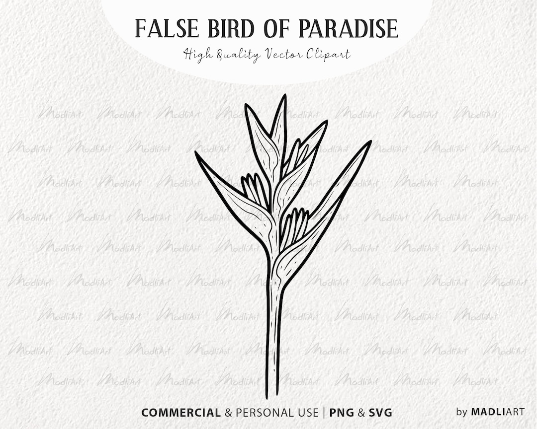 False Bird of Paradise Flower SVG Clipart. Tropical Flower Vector ...