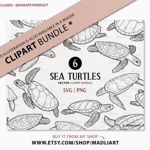 Flatback Sea Turtle SVG Clip Art. Sea Turtle Vector Line Art. Sea ...