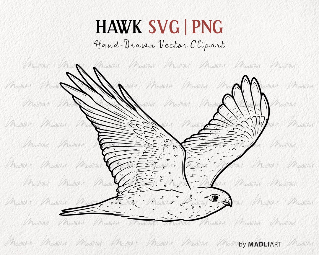 Coopers Hawk SVG Clipart Bundle. Eagle Vector Line Drawings. Bird of ...