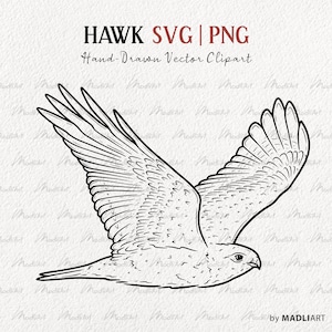 Coopers Hawk SVG Clipart Bundle. Eagle Vector Line Drawings. Bird of ...