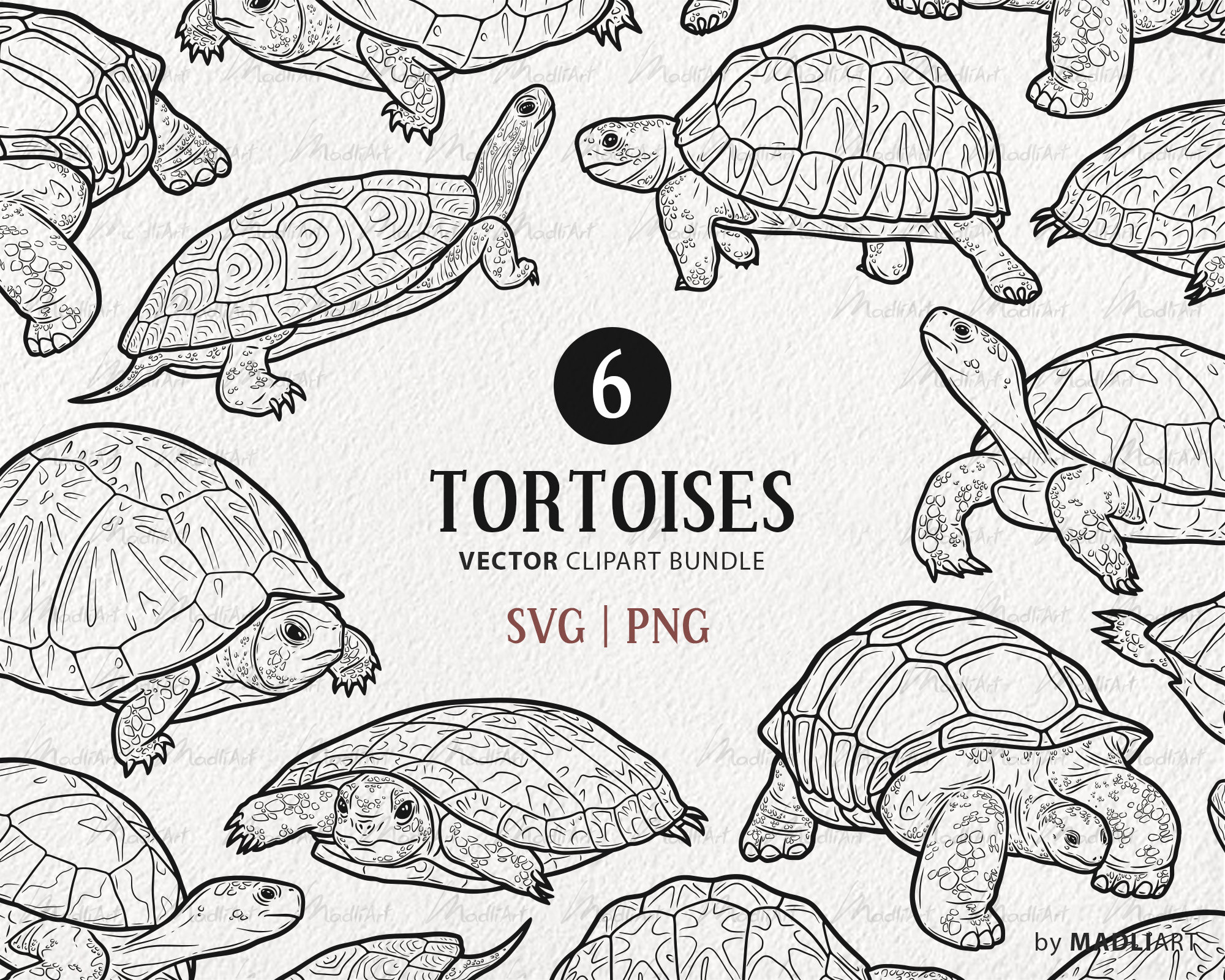 6 Tortoise SVG Clipart Bundle. Land Turtle Vector Artwork Set ...