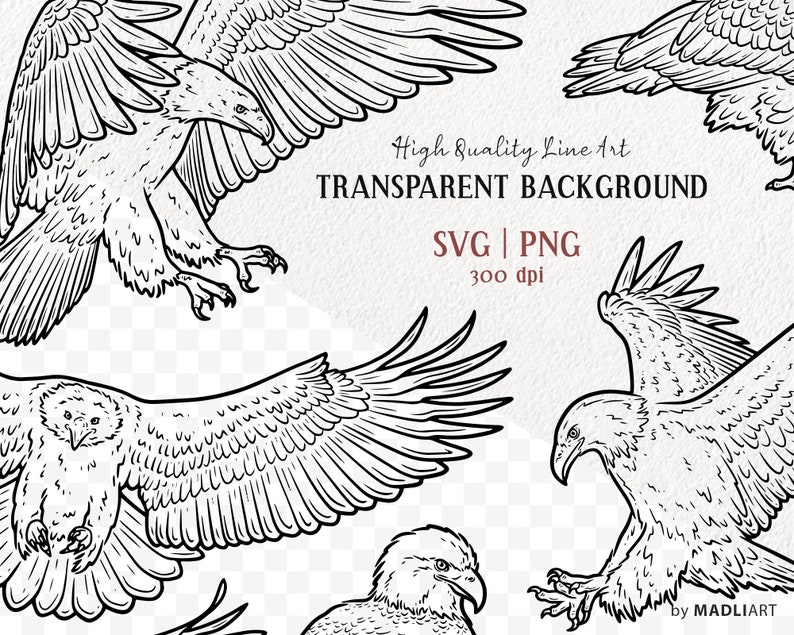 10 Eagle SVG Clipart Bundle. Bald Eagle Vector Line Drawings. Eagle ...