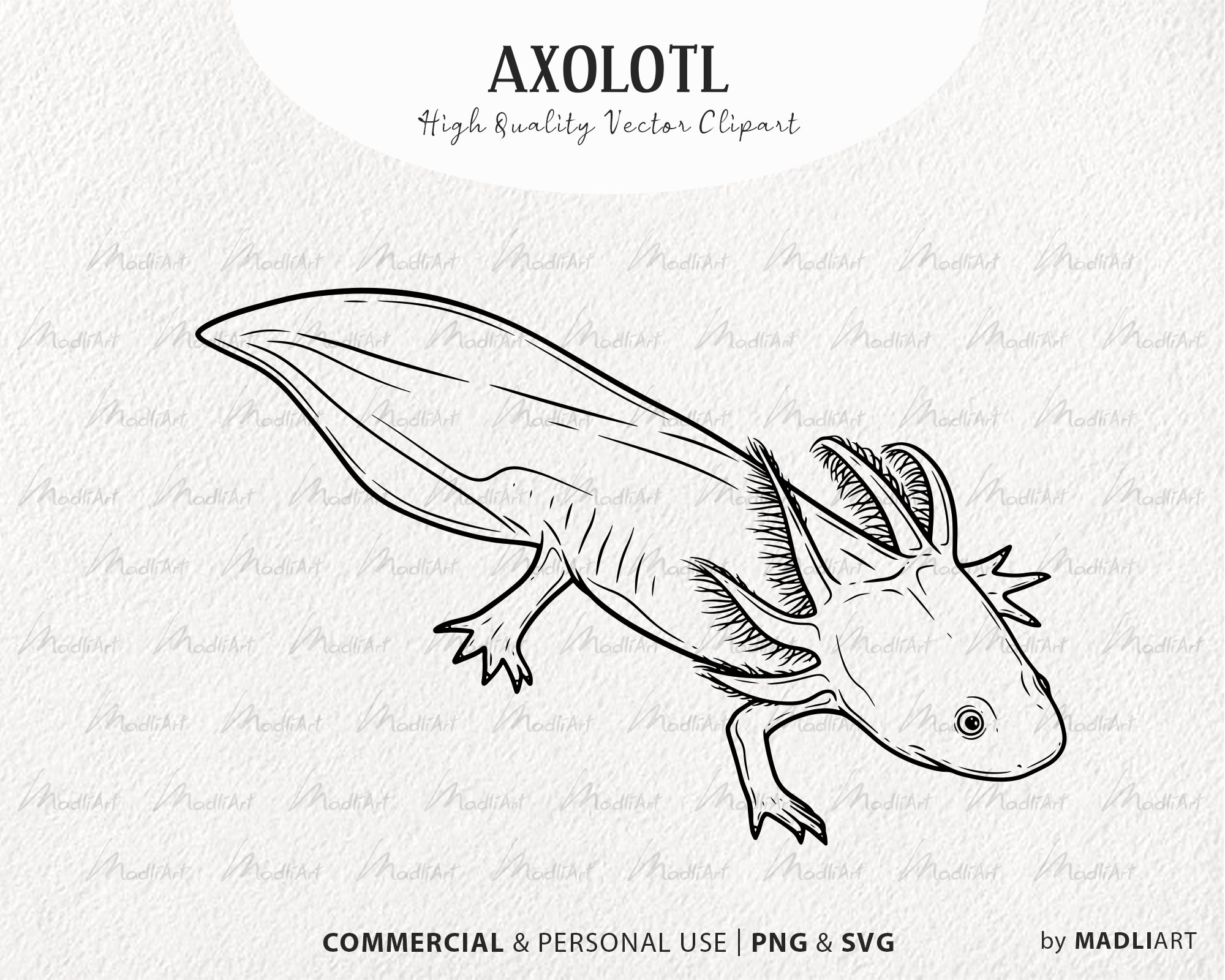 Clipart de ajolote. Arte vectorial de salamandra. Dibujo de - Etsy México