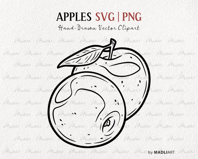 Apples SVG Clipart. Apple Vector Line Art. Autumn Apple Plant Fruit ...