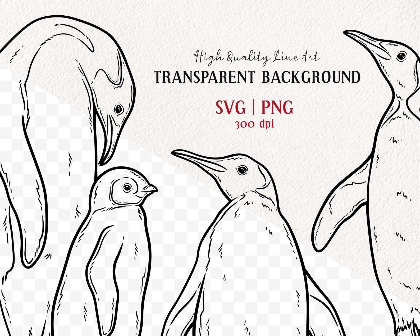 10 Penguin Vector Clipart Bundle. Emperor Penguin SVG Artwork Set. Baby ...