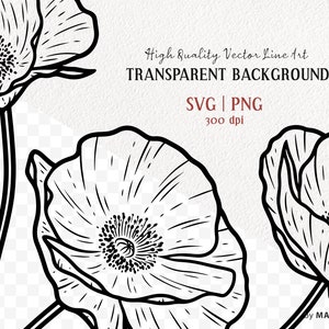 3 Poppy SVG Clipart Bundle. Poppy Vector Drawing. Wildflower Poppies ...